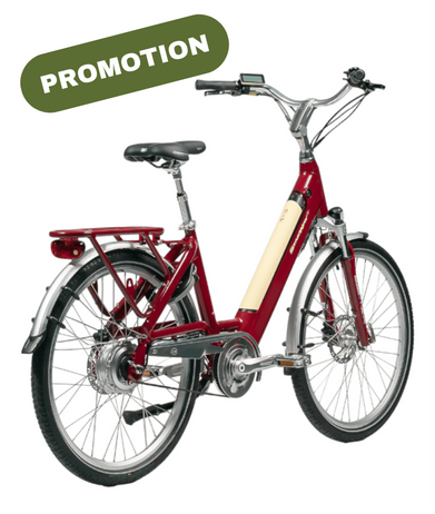 Gamme de vélos à assistance électrique (VAE) - Starway